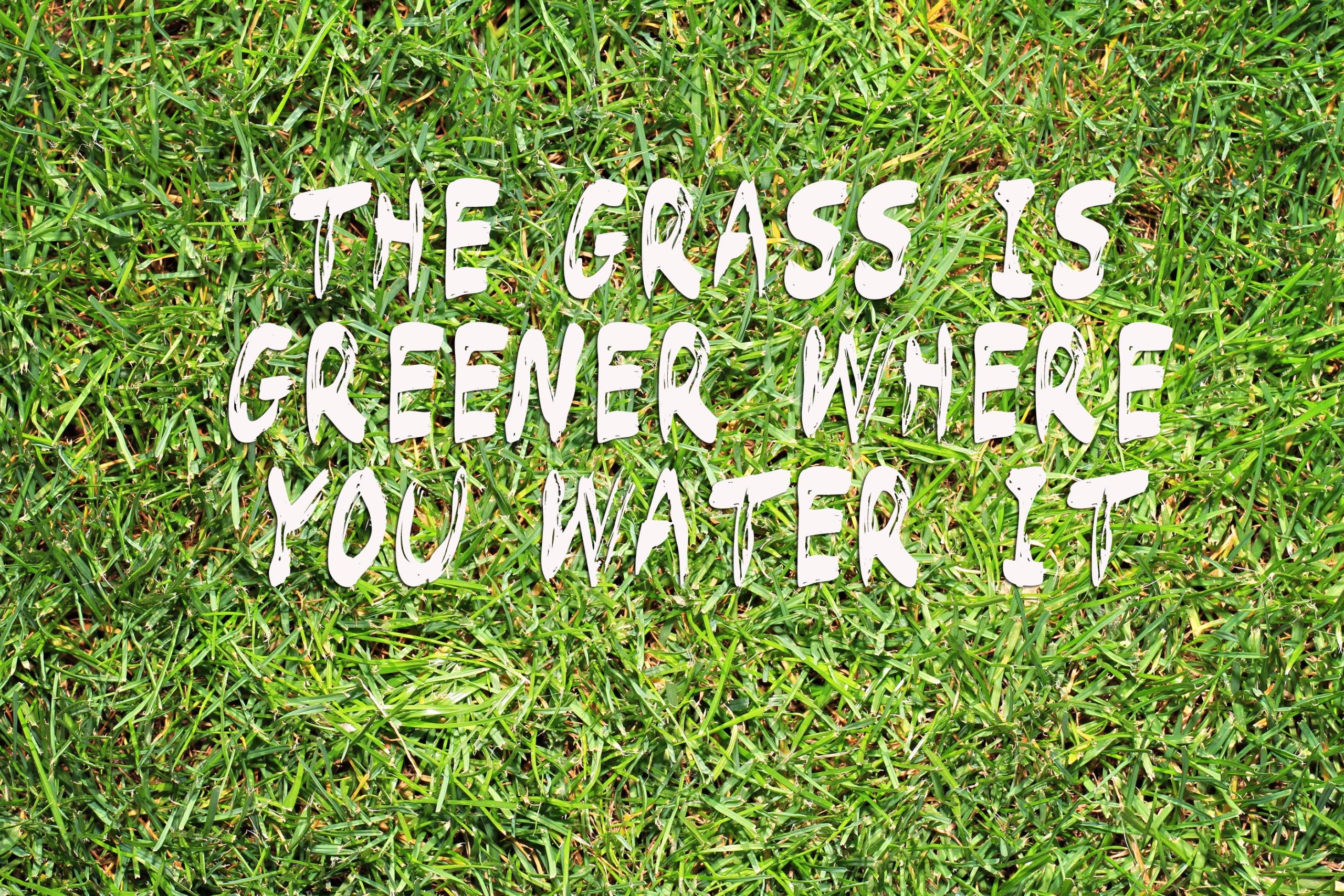 The Grass is Always Greener on the Other Side | Blog